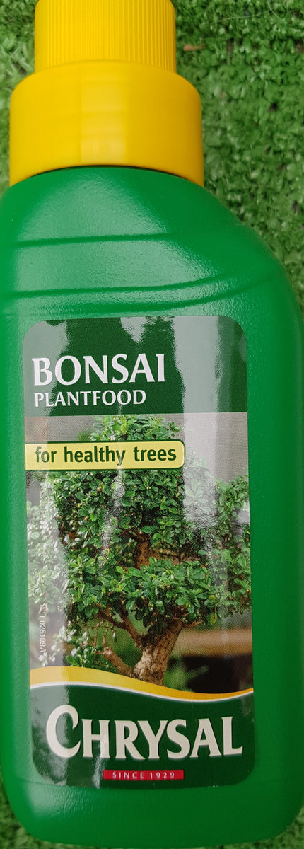 Bonsai Plant Liquid Feed - 200ml – Richard's Plants