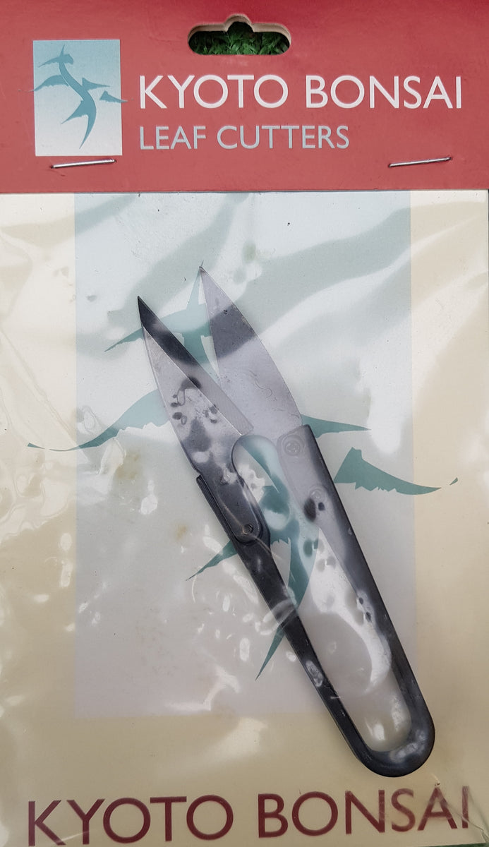 Bonsai Leaf Cutters – Richard's Plants